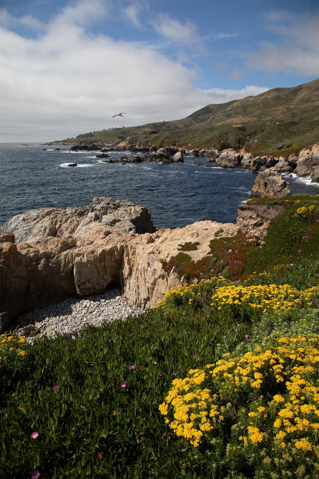 An Epic Highway 1 California 5-Day Itinerary — Salt & Wind Travel