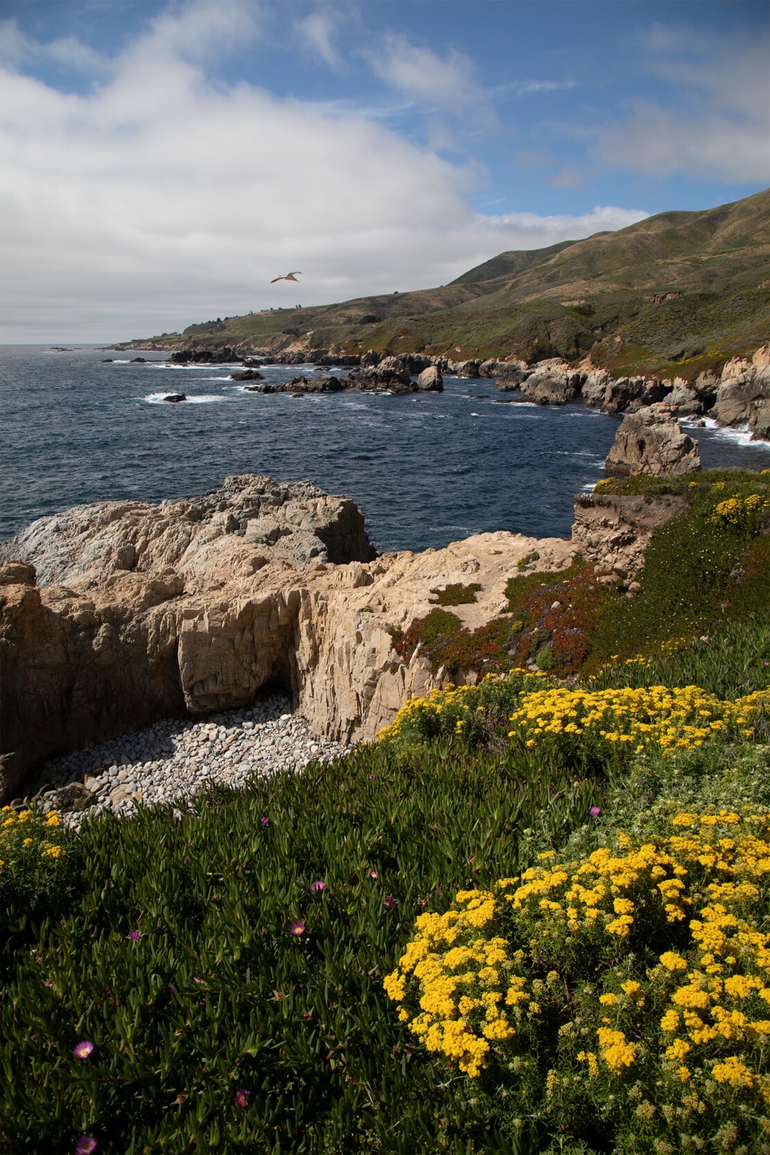 An Epic Highway 1 California 5-Day Itinerary — Salt & Wind Travel