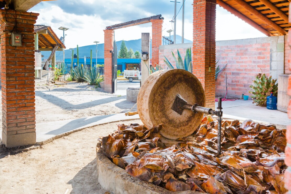 Get To Know Mezcal With These 6 Essential Tips — Salt & Wind Travel