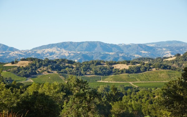 Locally Grown Sonoma Food To Seek Out On Your Next Visit — Salt & Wind ...