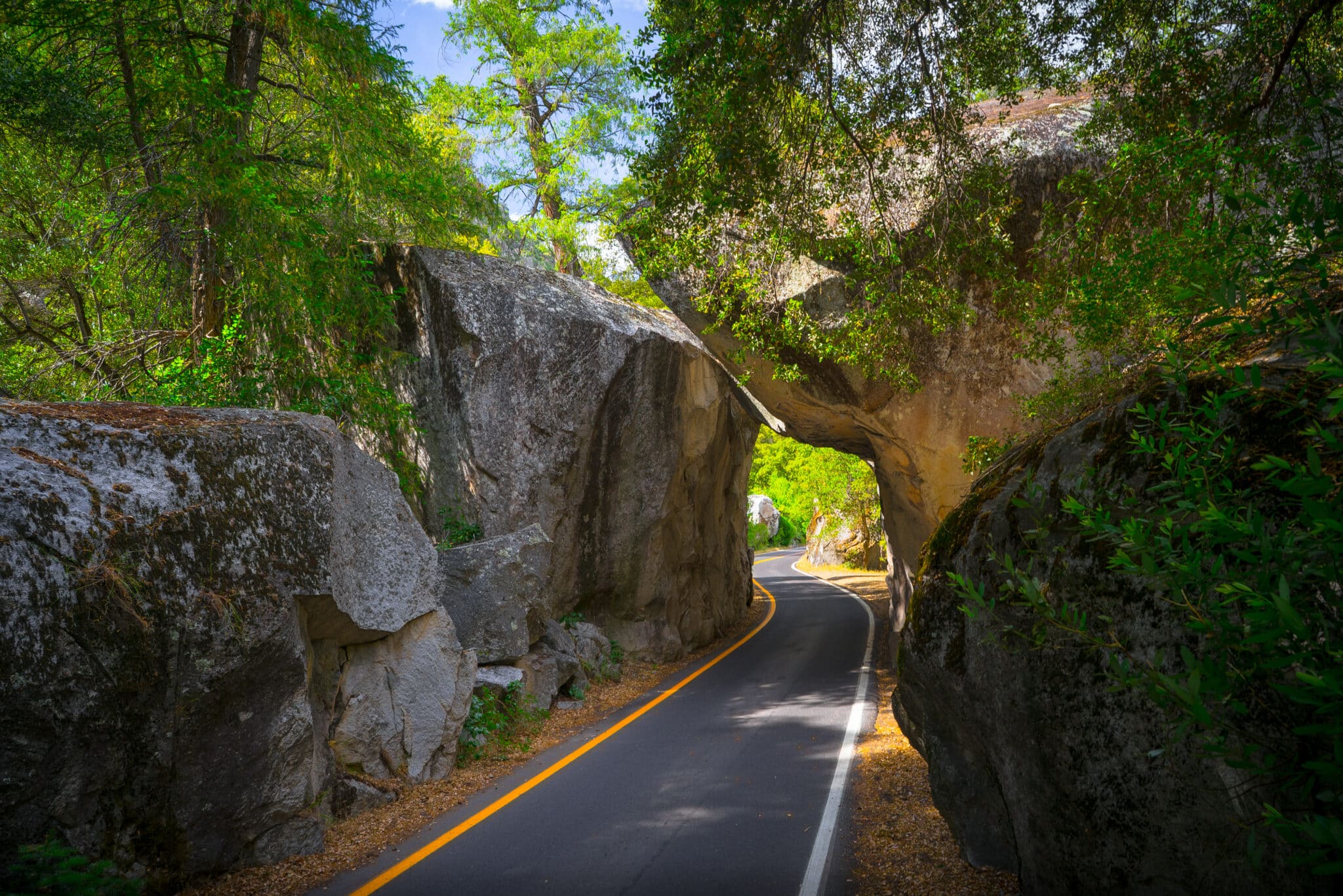 More Than 10 Things To Do In Mariposa California — Salt & Wind Travel