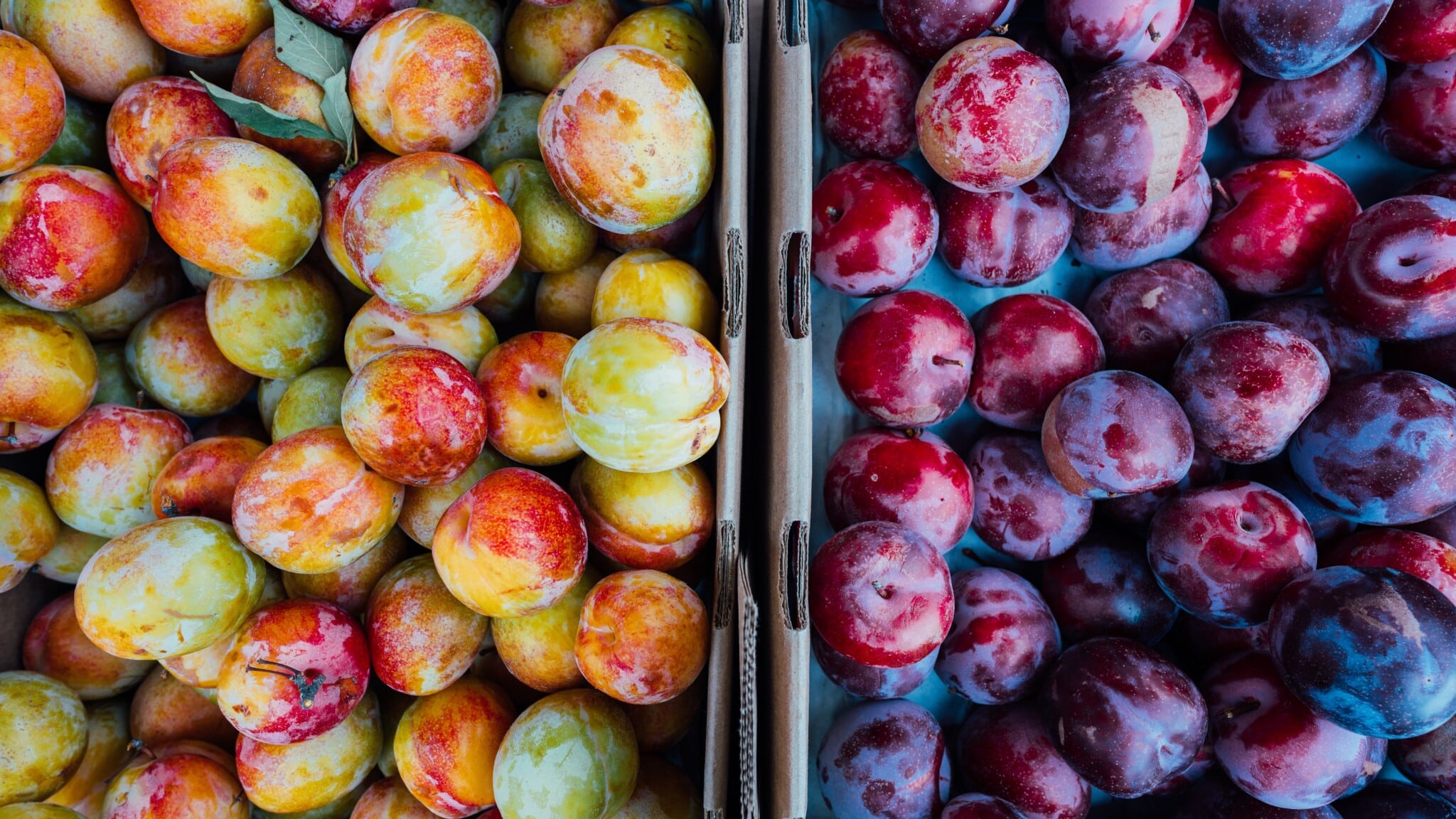 15 Local Farmers Markets In California — Salt & Wind Travel