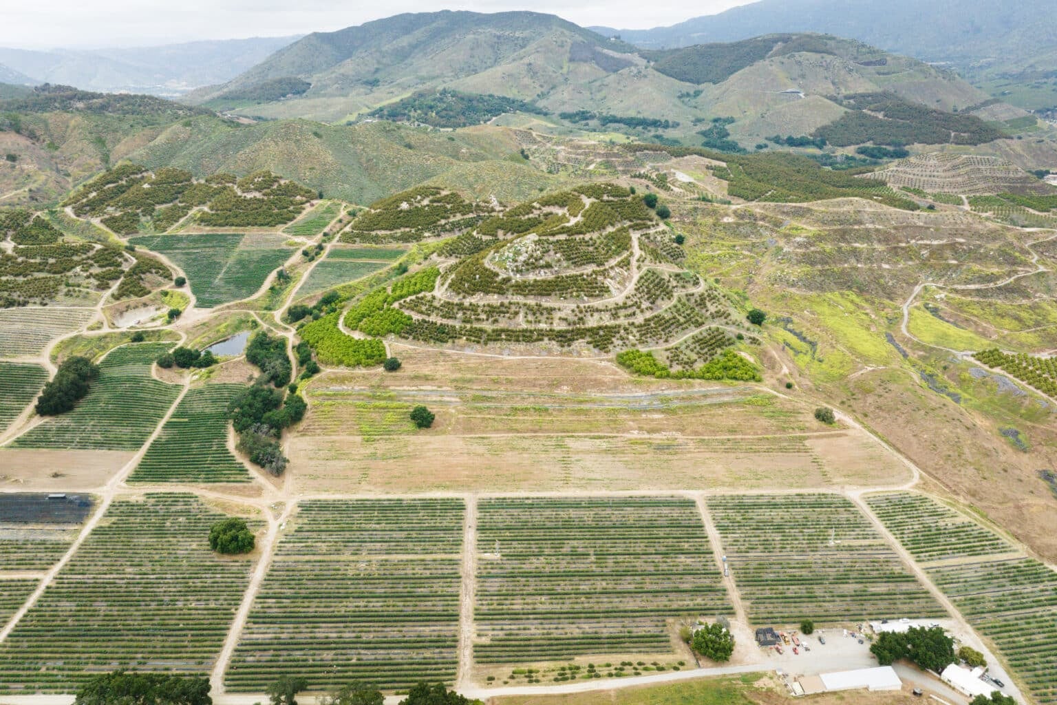 8 Memorable Things To Do In Temecula As A Food Lover — Salt & Wind Travel