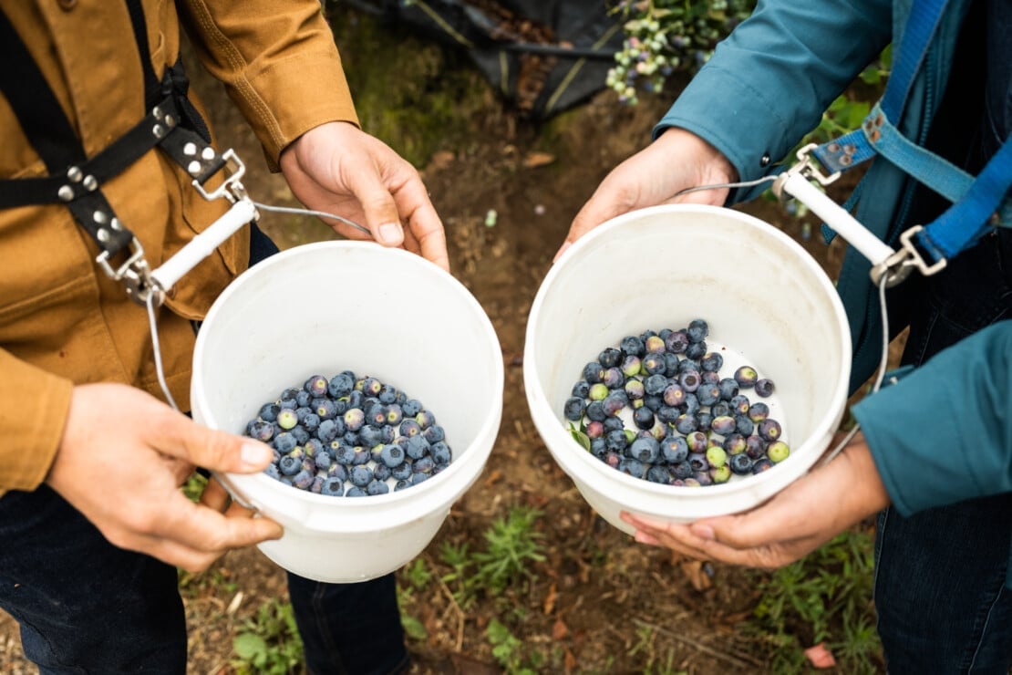 8 Memorable Things To Do In Temecula As A Food Lover — Salt & Wind Travel