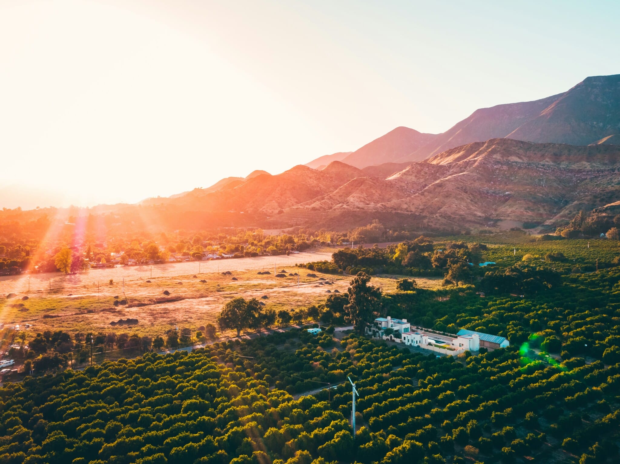 The 9 Best Restaurants In Ojai To Eat Local