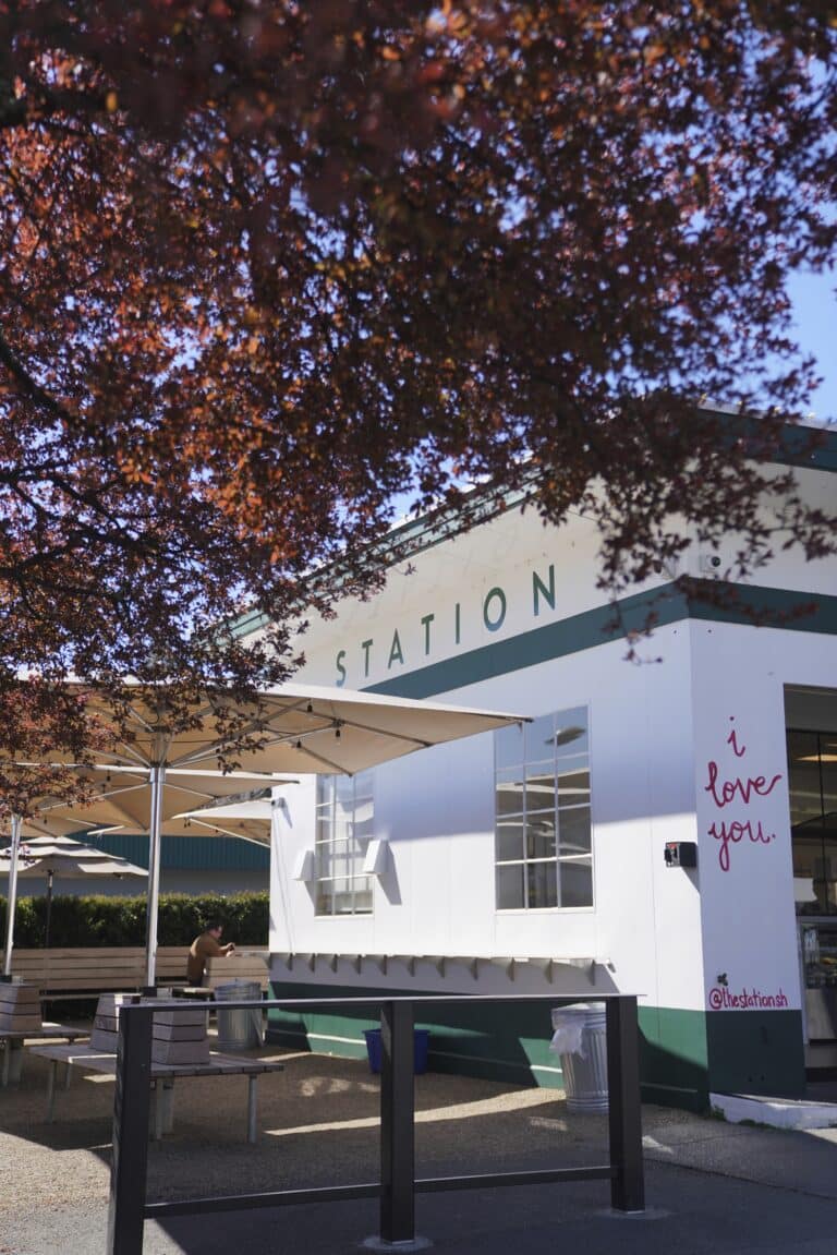 Discover 5 Easy Last Minute Bay Area Day Trips — Salt & Wind Travel