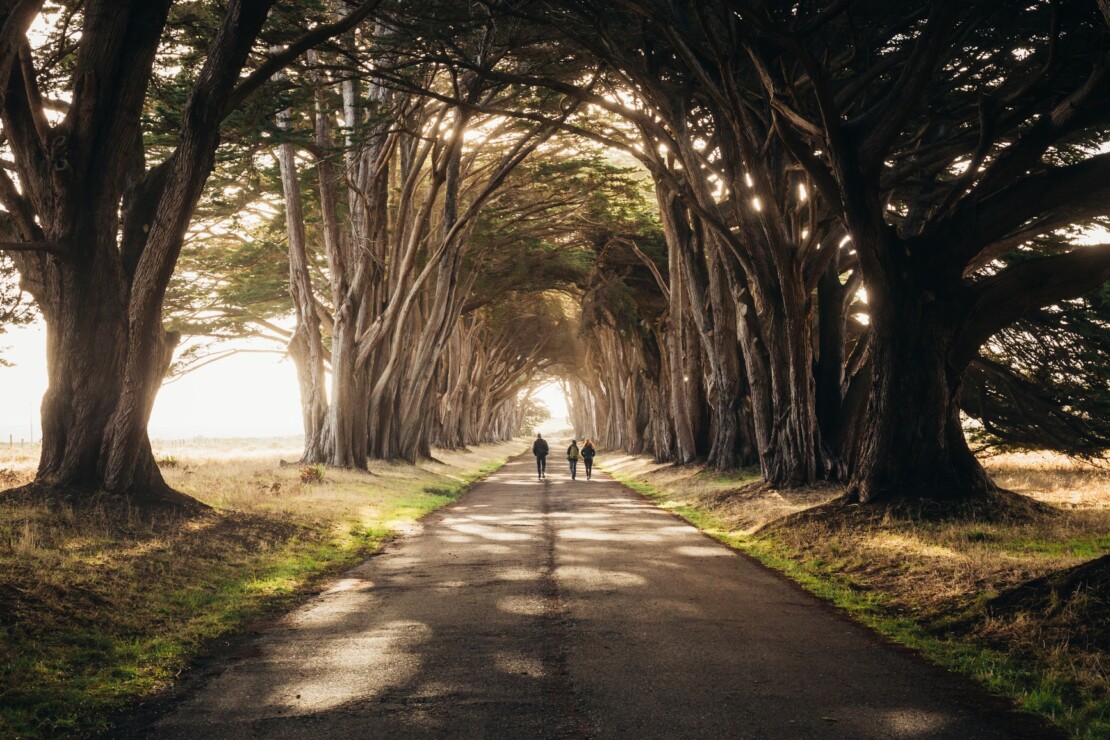 Discover 5 Easy Last Minute Bay Area Day Trips — Salt & Wind Travel