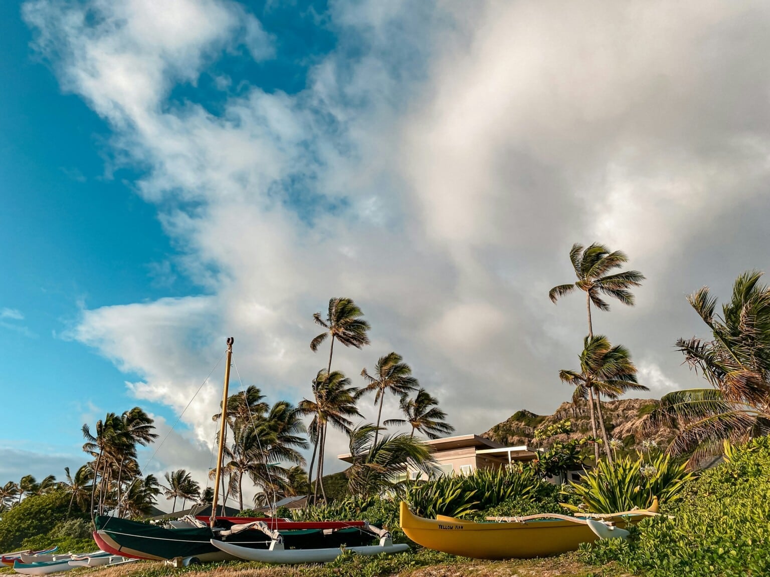 Honolulu What To Do: More Than 30 Activities — Salt & Wind Travel