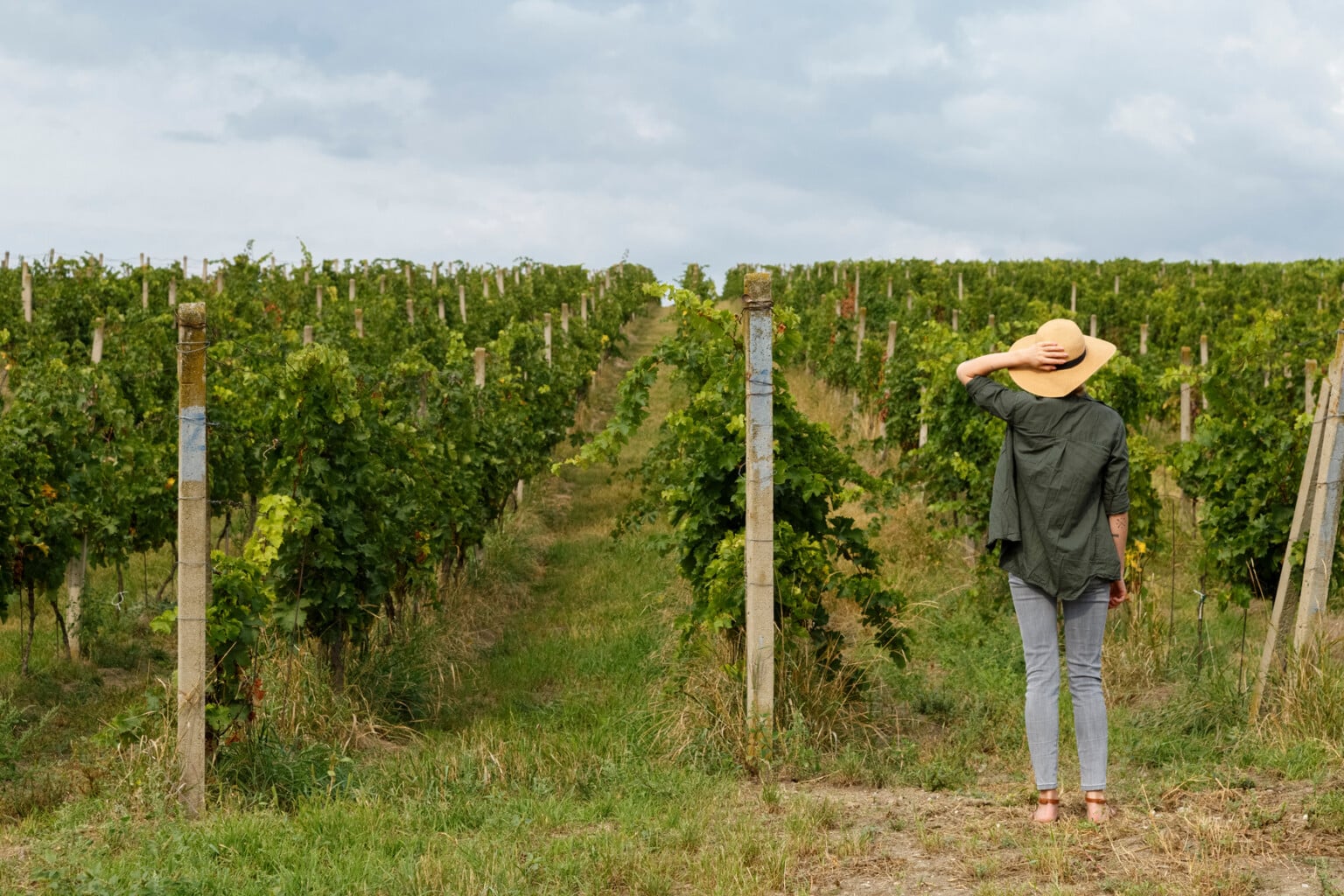 Celebrating California Women in Agriculture