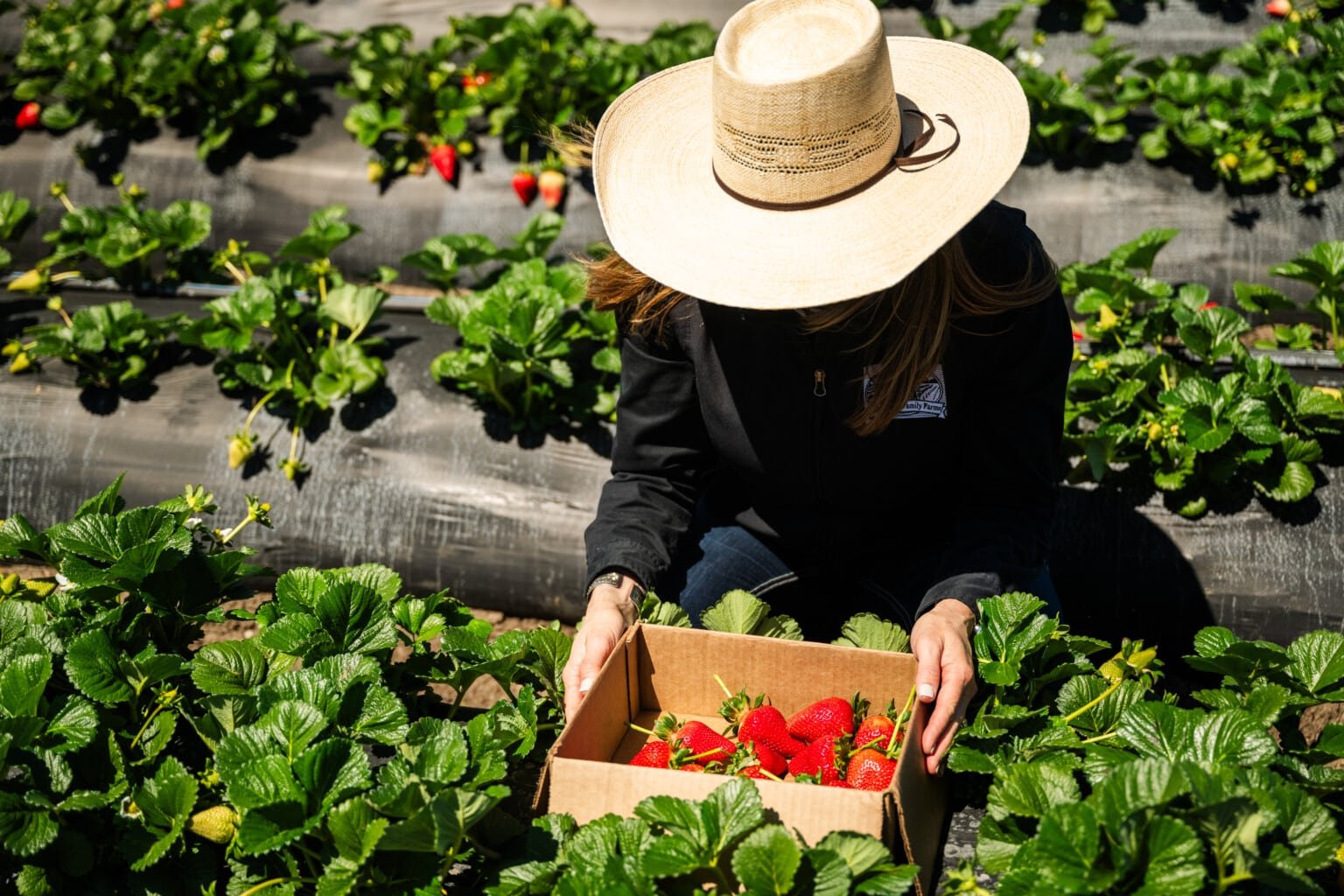 Explore 15 Iconic U-Pick Farms In California — Salt & Wind Travel