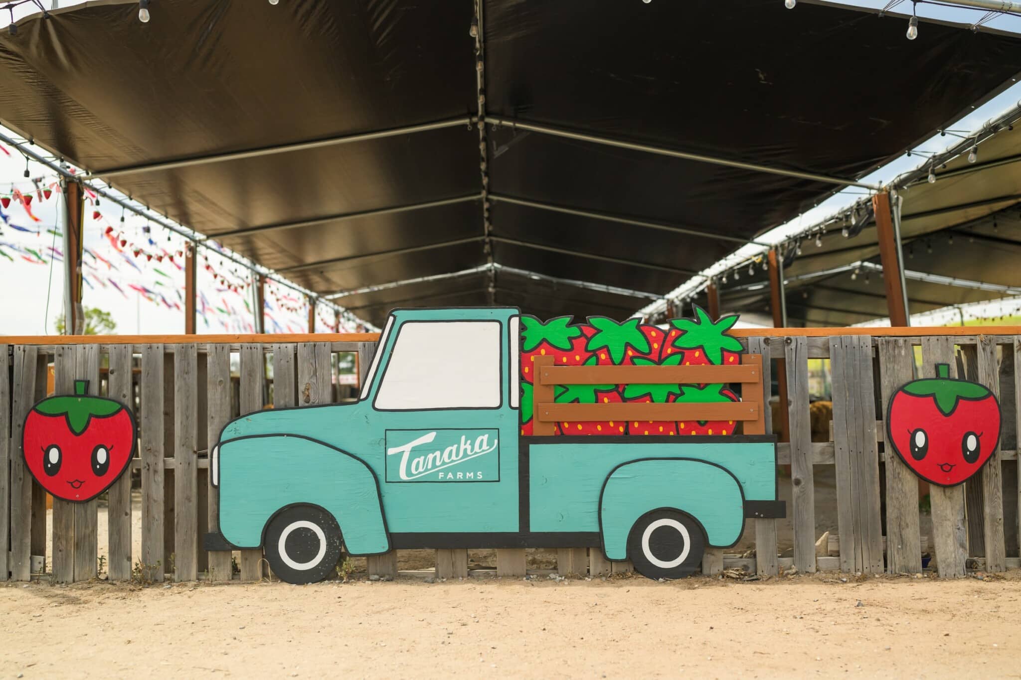 Explore 15 Iconic U-Pick Farms In California — Salt & Wind Travel