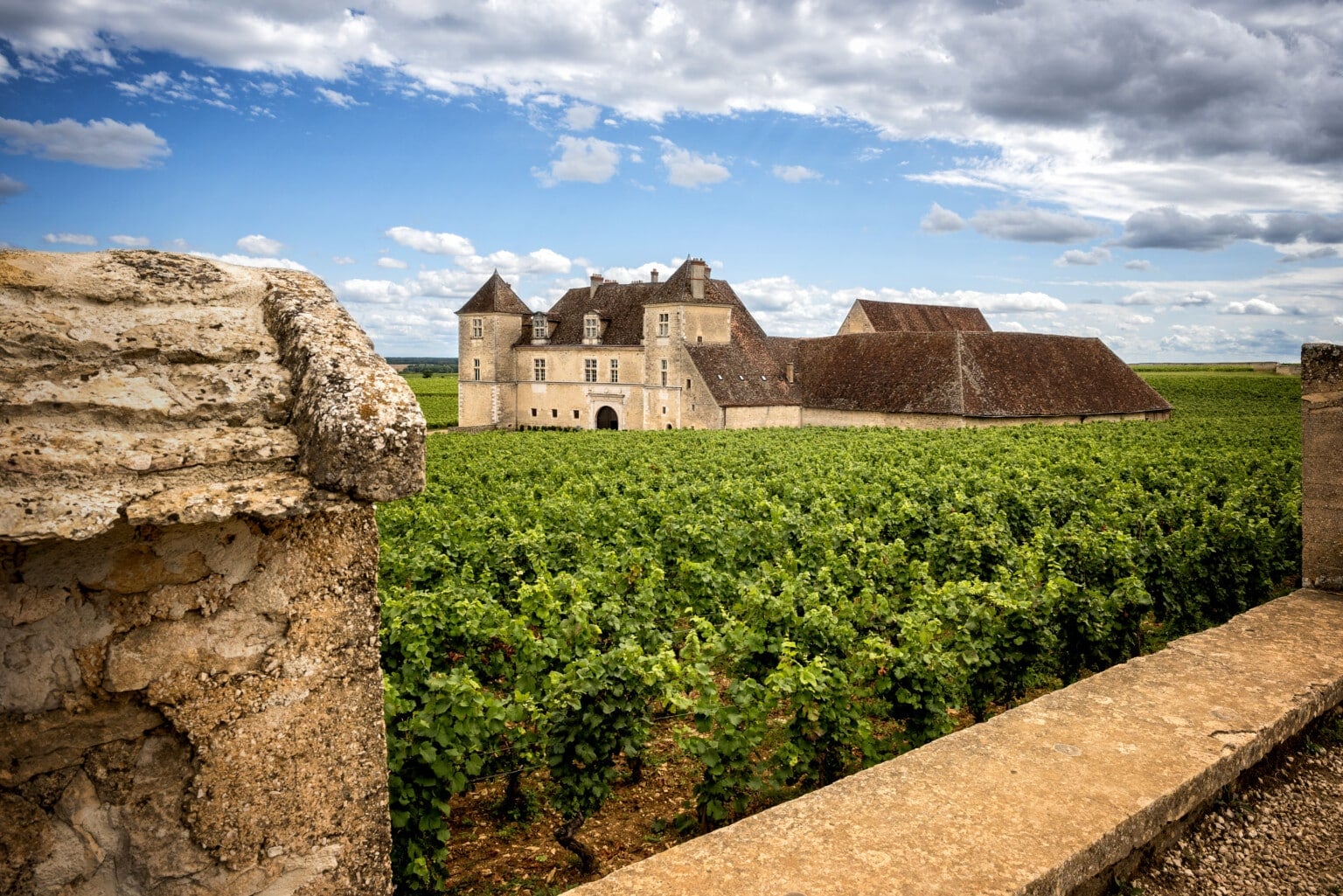 French Wine Regions: 8 Must-Visit Destinations (Expert Guide)